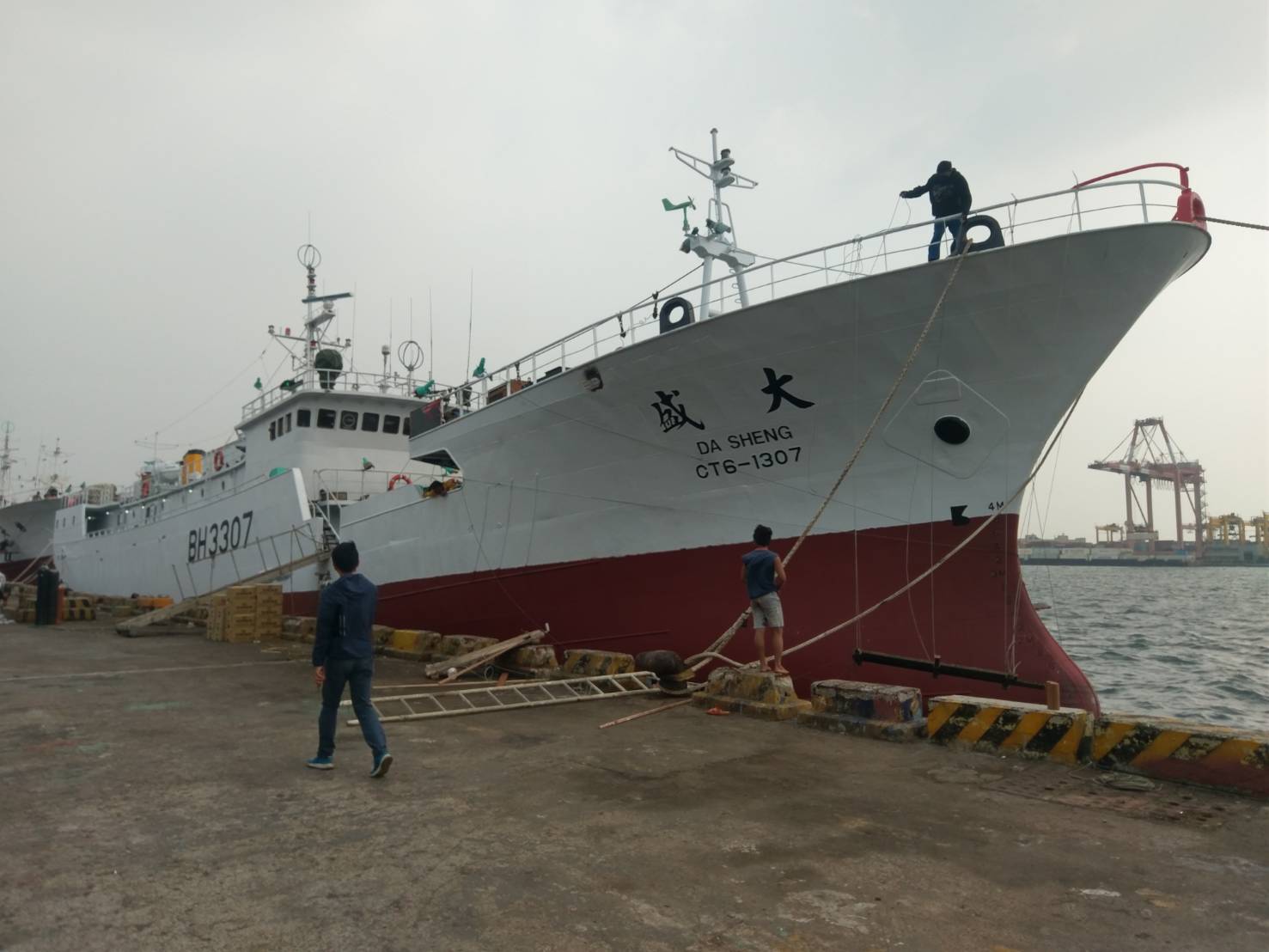 DA SHENG (VID: 11531) | Record of Fishing Vessels